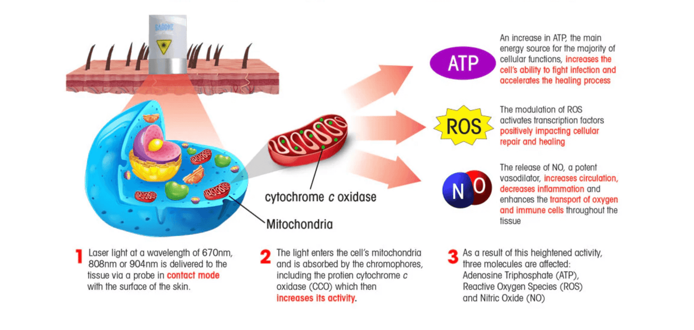 The Science Behind Hair Regrowth Laser Treatment